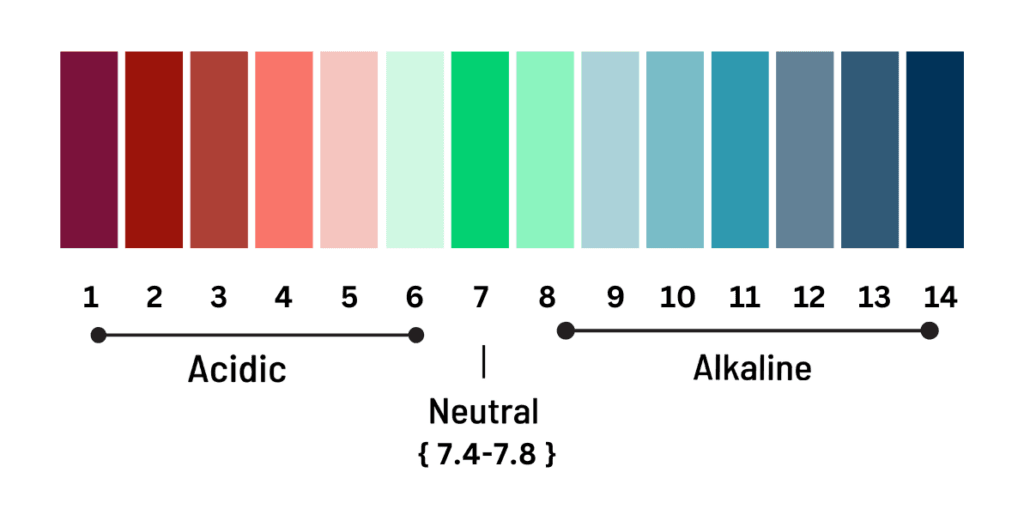How to Raise pH in Pool | Complete Guide