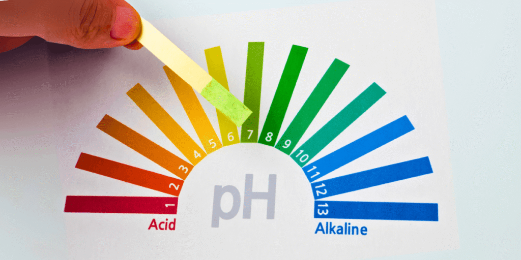 How to Raise pH in Pool | Complete Guide - Pool Care Specialists