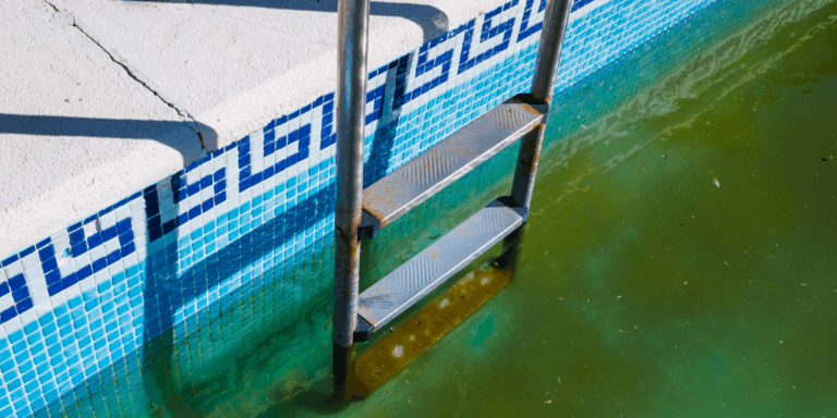 How to Maintain a Salt Water Pool: A Complete Guide - Pool Care Specialists